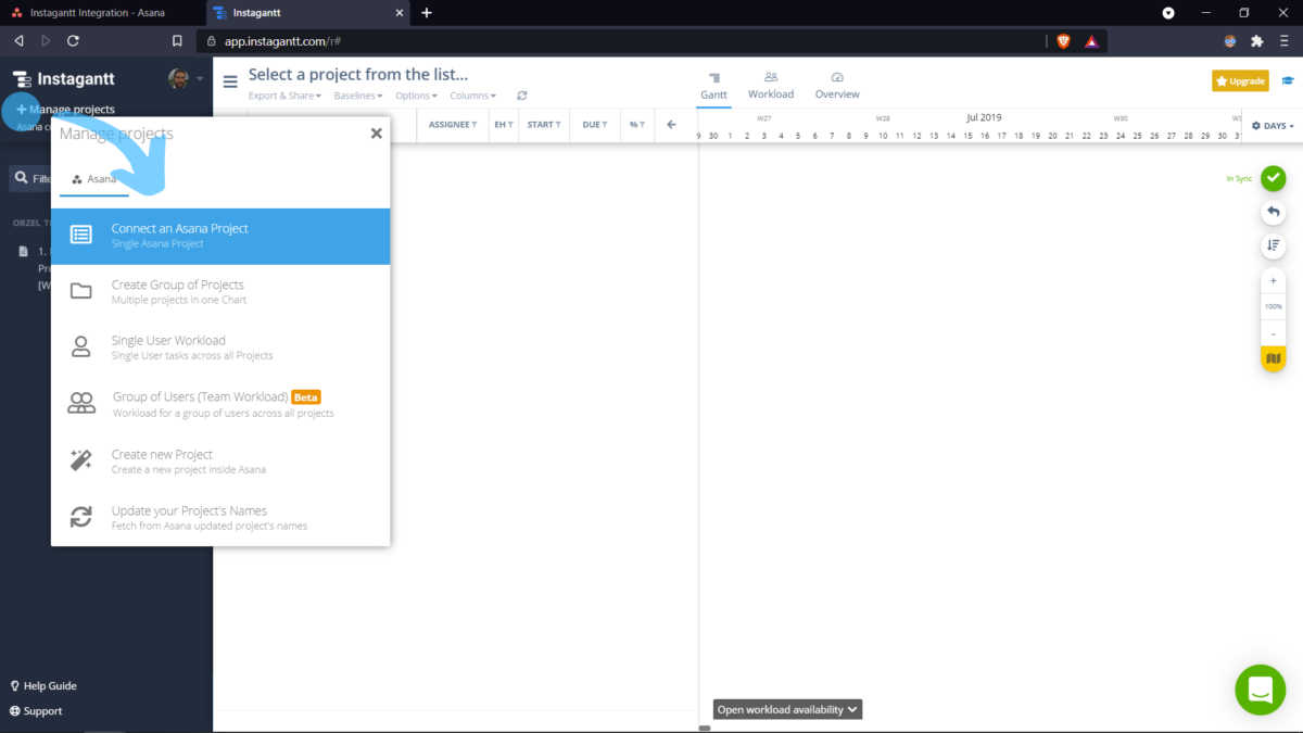 How to Use Asana's Custom Fields in Instagantt - Orzel Technologies
