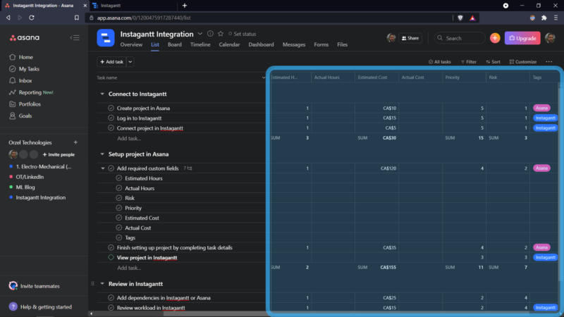 How to Use Asana's Custom Fields in Instagantt - Orzel Technologies
